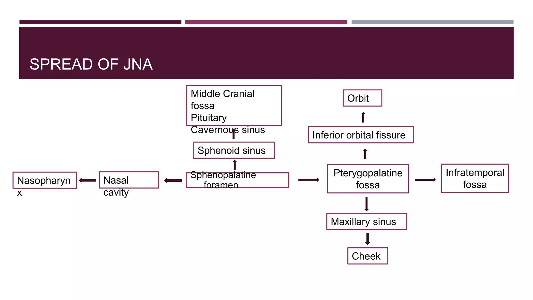 JUVENILE NASOPHARYNGEAL ANGIOFIBROMA Surgical approaches & newer ...