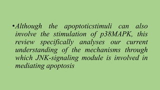 MAPK JNK Cell signalling | PPTX