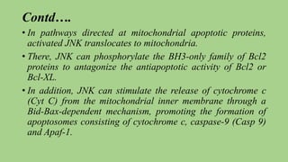 MAPK JNK Cell signalling | PPTX