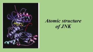 MAPK JNK Cell signalling | PPTX