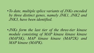 MAPK JNK Cell signalling | PPTX