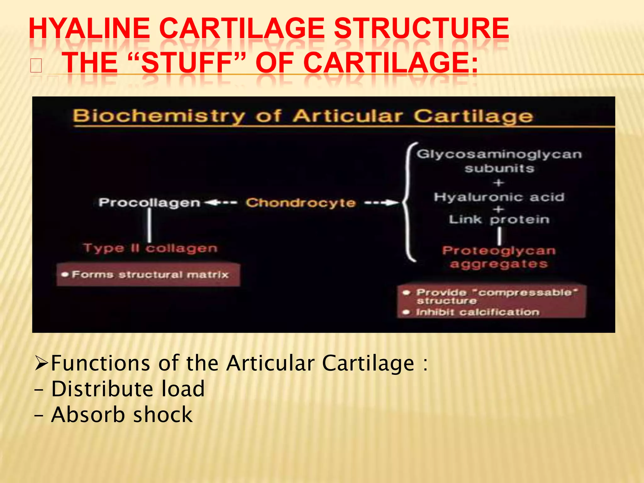 AUTOLOGUS CHONDROCYTE IMPLANTATION PRIYANK | PPTX