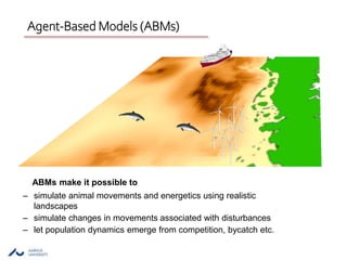 Using agent-based models for management of marine populations | PPT