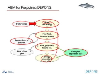 Using agent-based models for management of marine populations | PPT