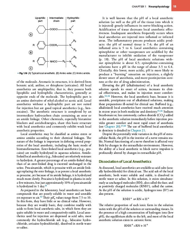 Handbook_of_LA_by_Stanly_Malamed.pdf