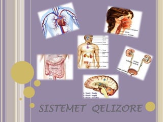 Joana Dervishaj sistemet qelizore shkolla"Albanet"klasa IX | PPT