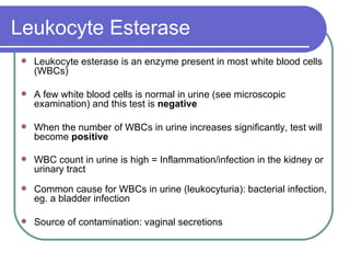 Urinalysis 3/27 | PPT