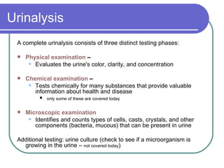 Urinalysis 3/27 | PPT