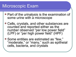 Urinalysis 3/27 | PPT