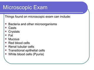 Urinalysis 3/27 | PPT