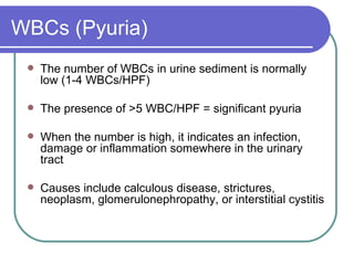 Urinalysis 3/27 | PPT