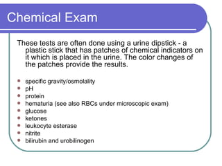 Urinalysis 3/27 | PPT