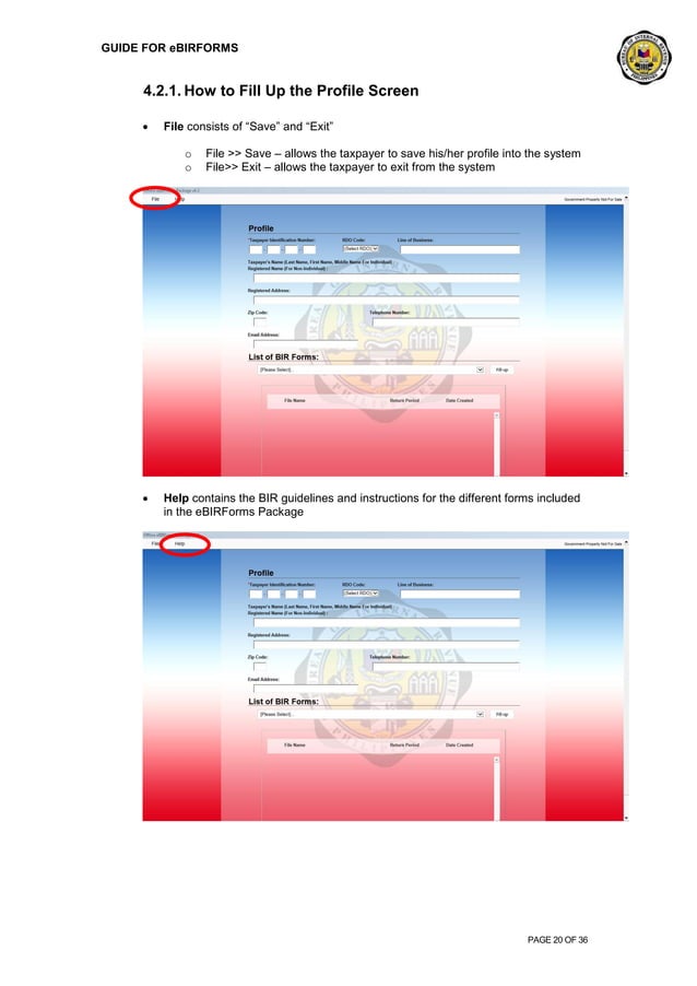 Job aid for the use of offline e bir forms package | PDF | Internet ...