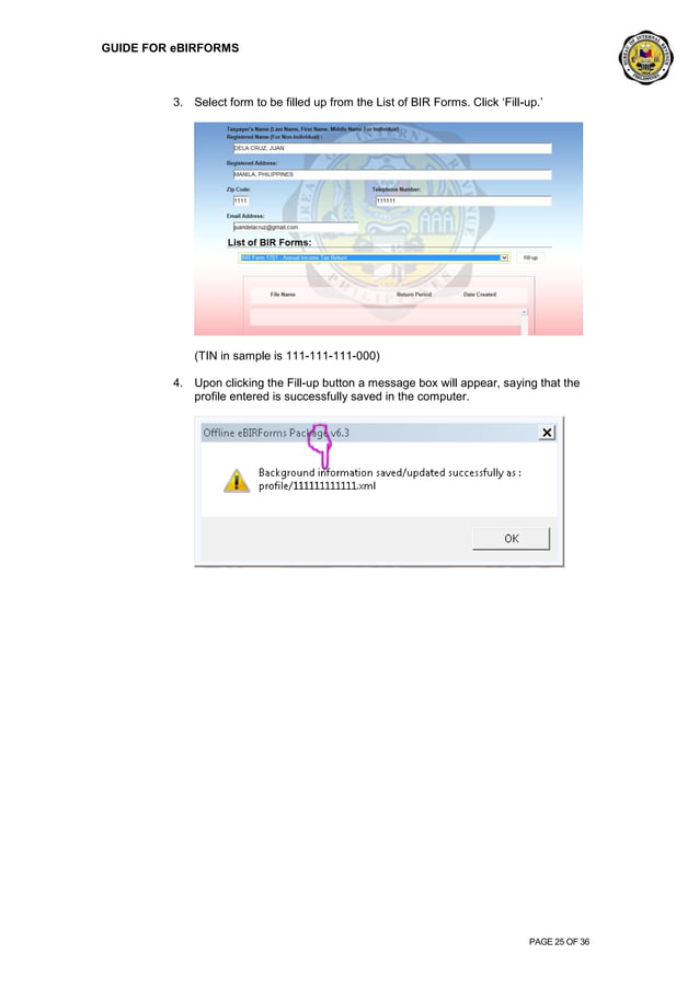 Job aid for the use of offline e bir forms package | PDF | Internet ...