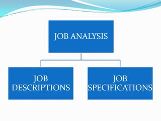 Job Analysis | PPTX