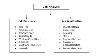 Job analysis | PPT