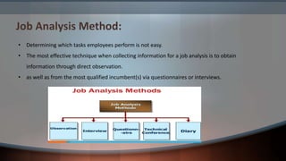 Job Analysis.pptx