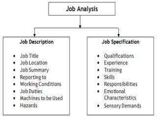 JOB ANALYSIS ppt for management students | PPTX