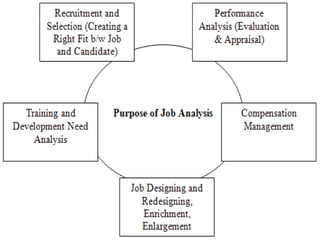 JOB ANALYSIS ppt for management students | PPTX