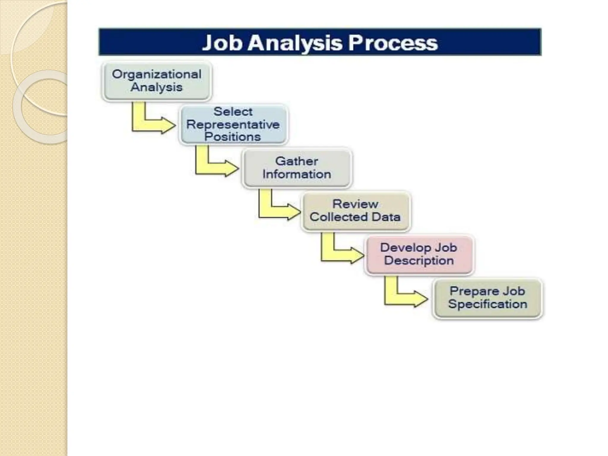 Job Analysis presentation in human resource management | PPT