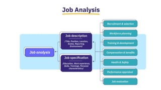 Job analysis and design, job description and job specification.pptx