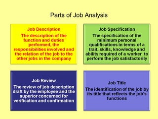 Job analysis design | PPT