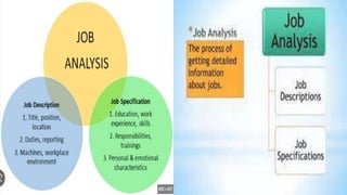 Job Analysis, Evaluation & Documentation.pptx