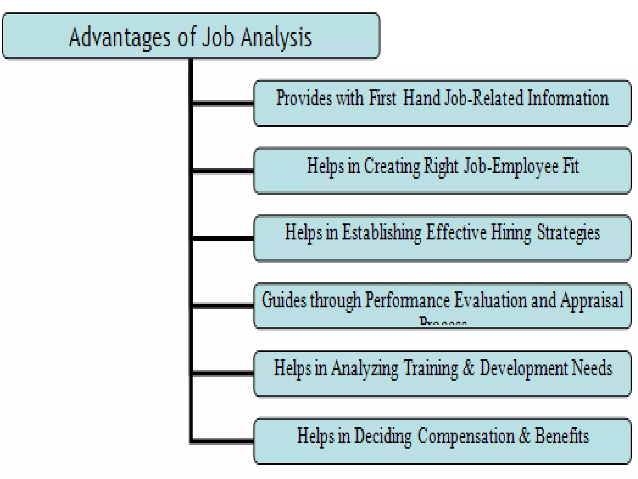 Job Analysis_Evaluation_Grading_Process and Tools | PPTX