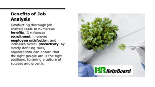 Job Analysis Meaning. How to Conduct a Job Analysis | PPT