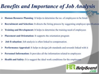 What is Job Analysis meaning in HRM? | PPTX | Human Resources | Business