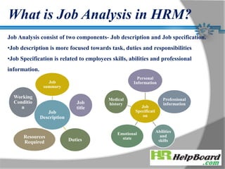 What is Job Analysis meaning in HRM? | PPTX | Human Resources | Business