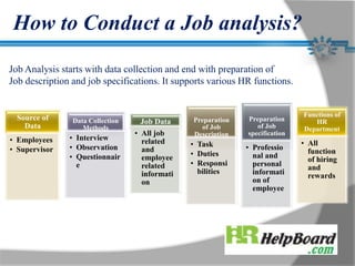 What is Job Analysis meaning in HRM? | PPTX | Human Resources | Business