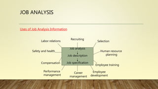 Job Analysis ZOOM.pptx