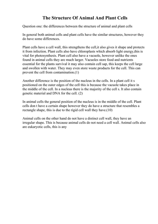 Job Application Essay Example.pdf