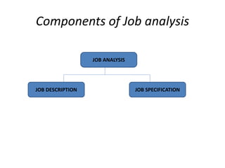 Job Description, Job Specification.pptx.final.pptx