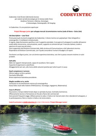 assumiamo Project Manager junior | PDF