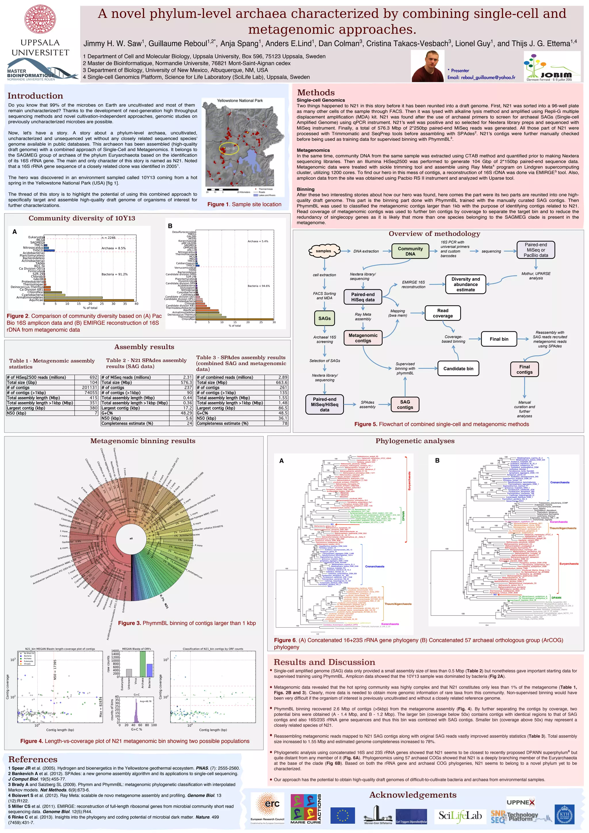 A novel phylum-level archaea characterized by combining single-cell and metagenomic approaches | PDF