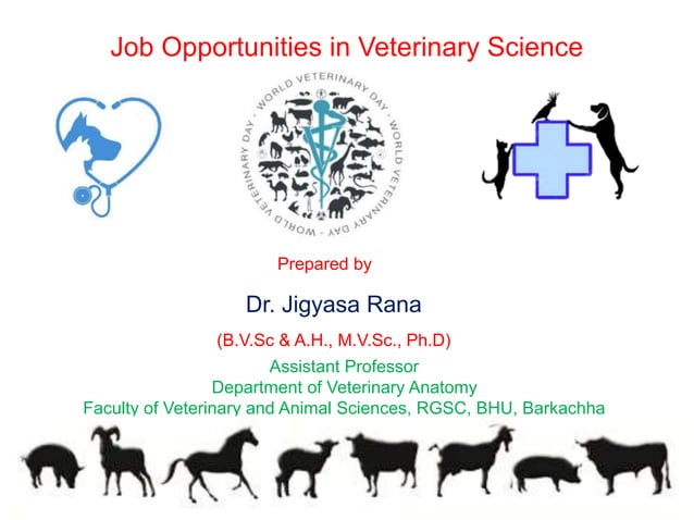 Job oppertunities in Veterinary Science.ppt by Dr. Jigyasa Rana | PPT