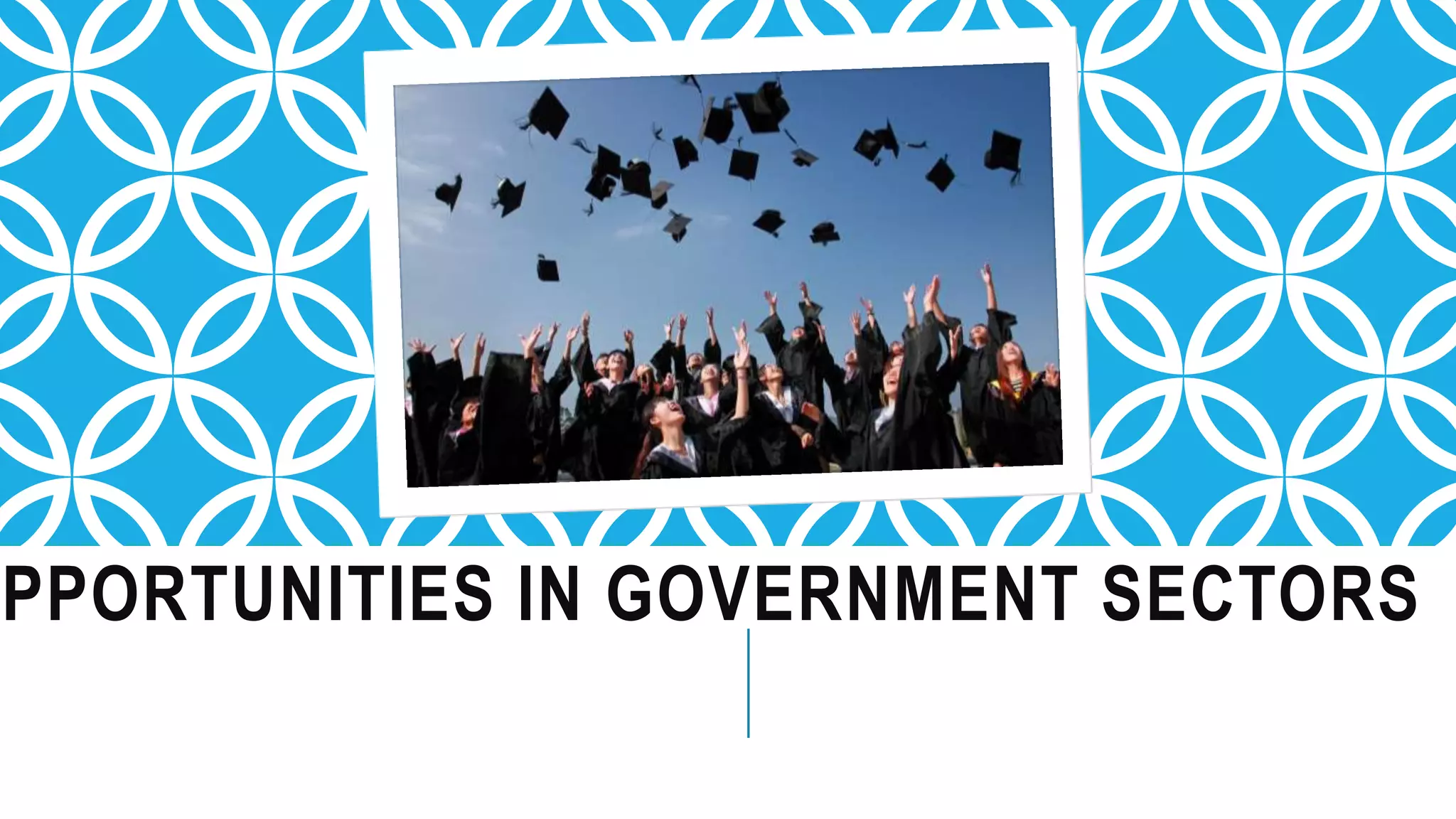 Job opportunities in government sectors. | PPTX