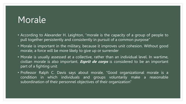 Job Satisfaction & Morale.pptx Job Satisfaction & Morale.pptx