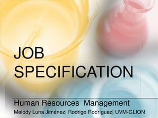 Job specification | PDF