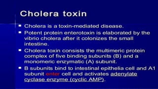 structure and function of cholera toxin | PPTX