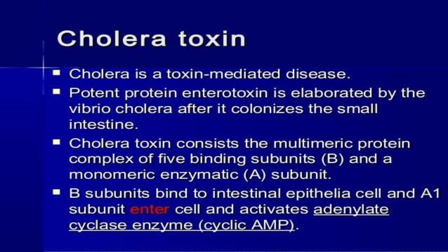 structure and function of cholera toxin | PPTX | Chemistry | Science