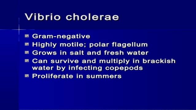 structure and function of cholera toxin | PPTX | Chemistry | Science