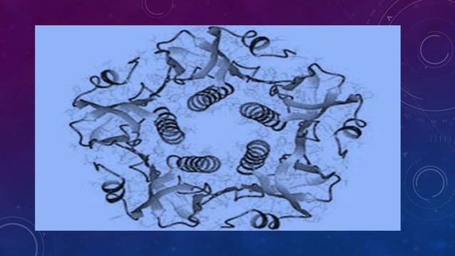 structure and function of cholera toxin | PPTX | Chemistry | Science