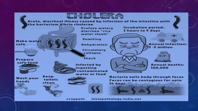 structure and function of cholera toxin | PPTX | Chemistry | Science