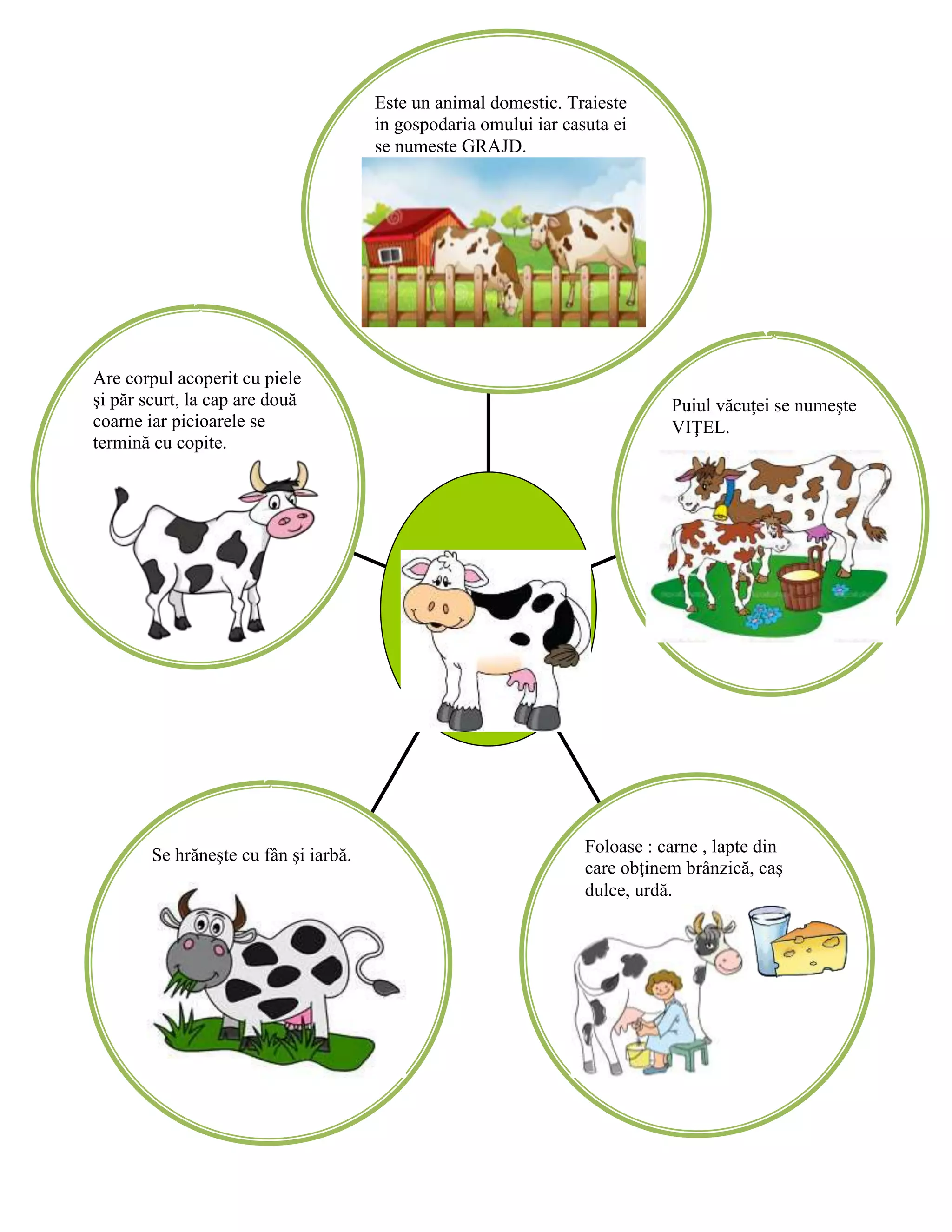 joc Ciorchinele Animale domestice.docx