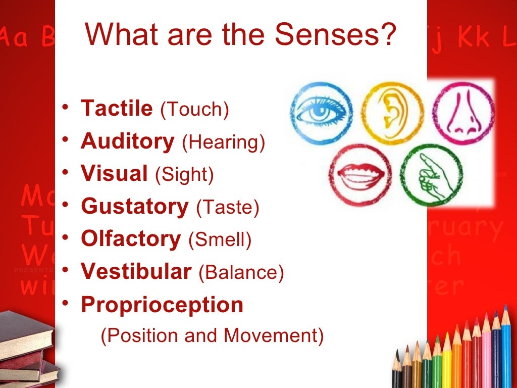 Sensory Integration Presentation Sensory Integration Presentation