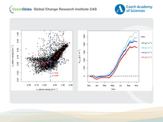 Forest net ecosystem CO2 exchange in sloping terrain as derived by eddy covariance | PPT