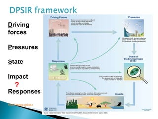 Sustainable Development Indicators & Metrics | PPT